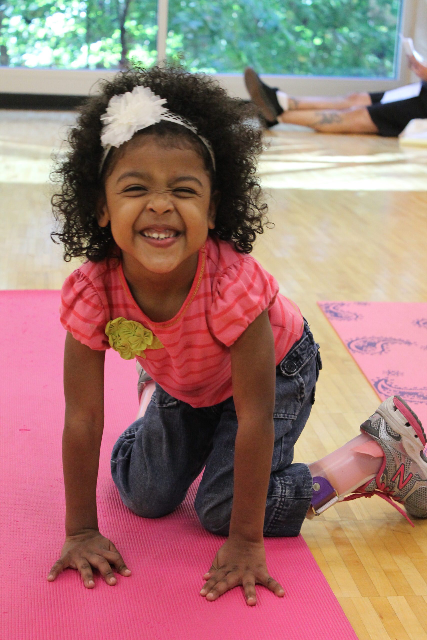 Physical Activity, Leisure and Recreation for Youth with Disabilities ...