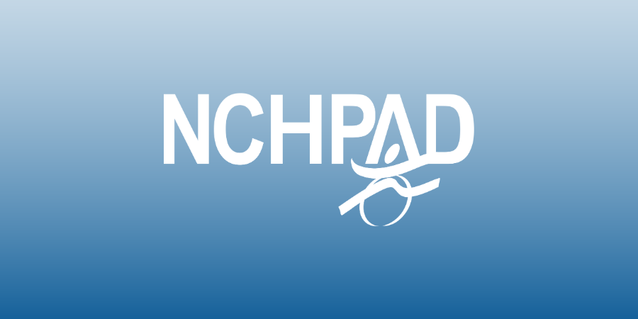 Accelerating Disability Inclusion Through Grants - National Center on ...