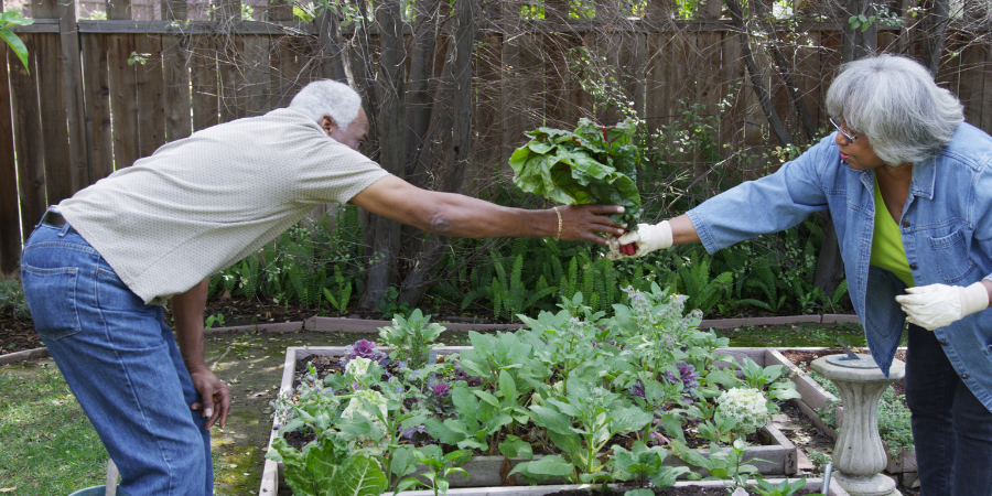 Bringing Nature to You and the Benefits of Being Outdoors - NCHPAD