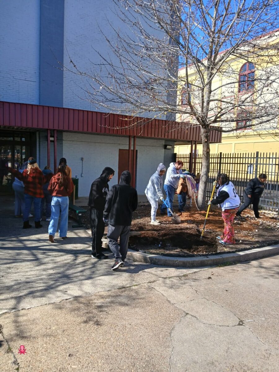 2025 Accelerating Disability Inclusion Grants - NCHPAD